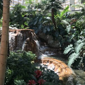 98 Free Things To Do in Las Vegas - On The Strip & Downtown