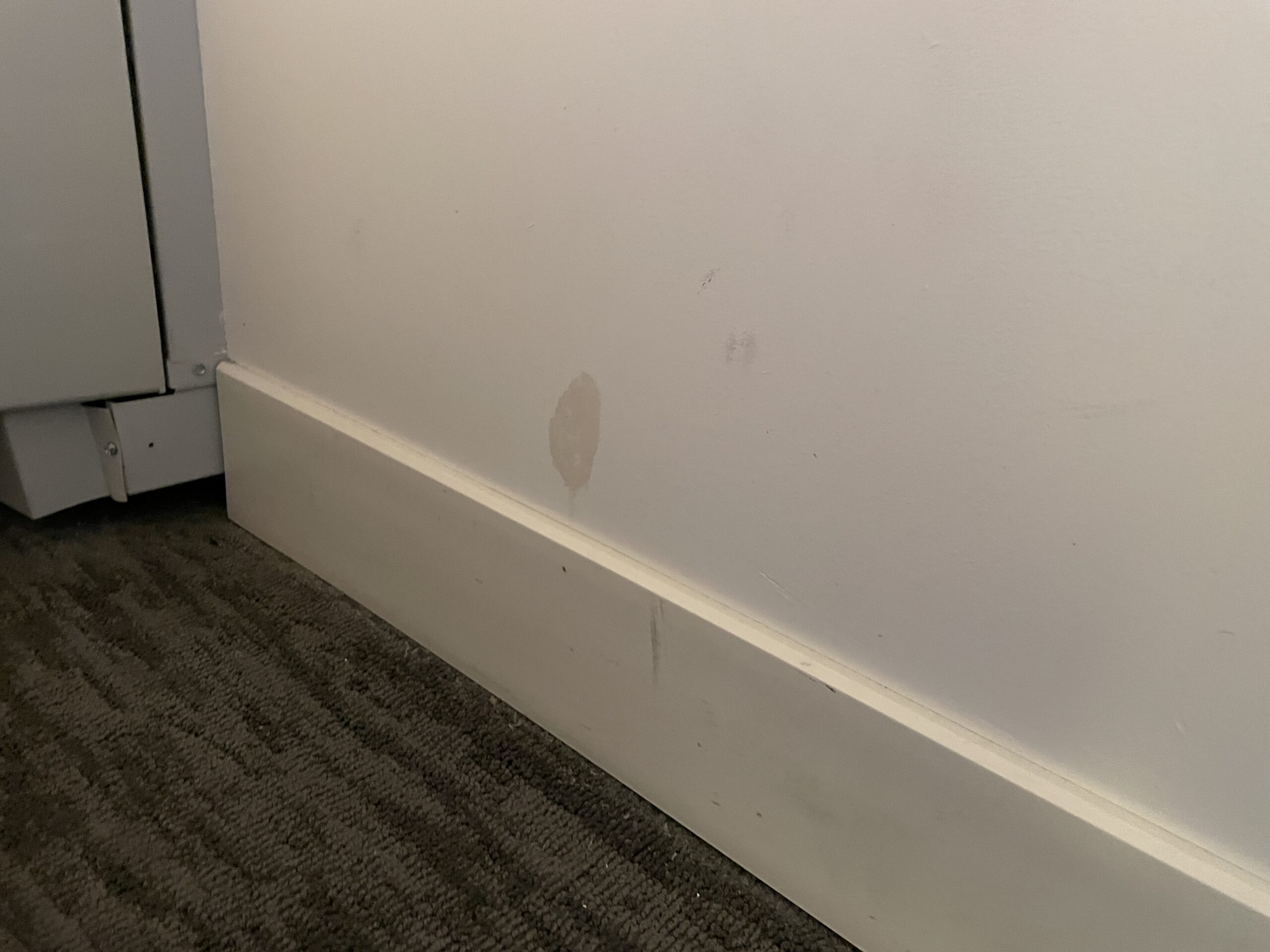 LINQ Poolside Cabana Room Review