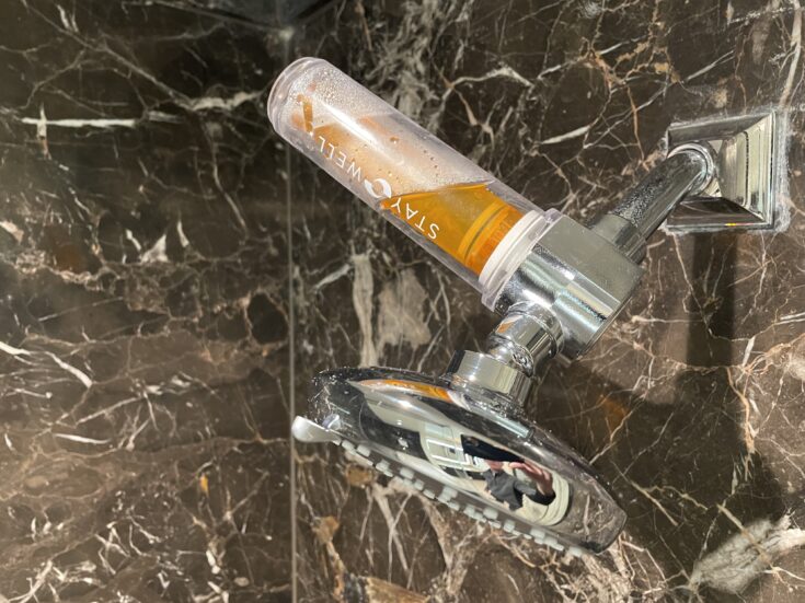 Delano Las Vegas - Stay Well King Suite Review