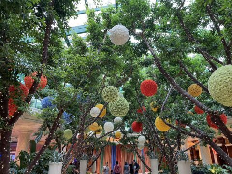 Things To Do at and Near Wynn/Encore Las Vegas