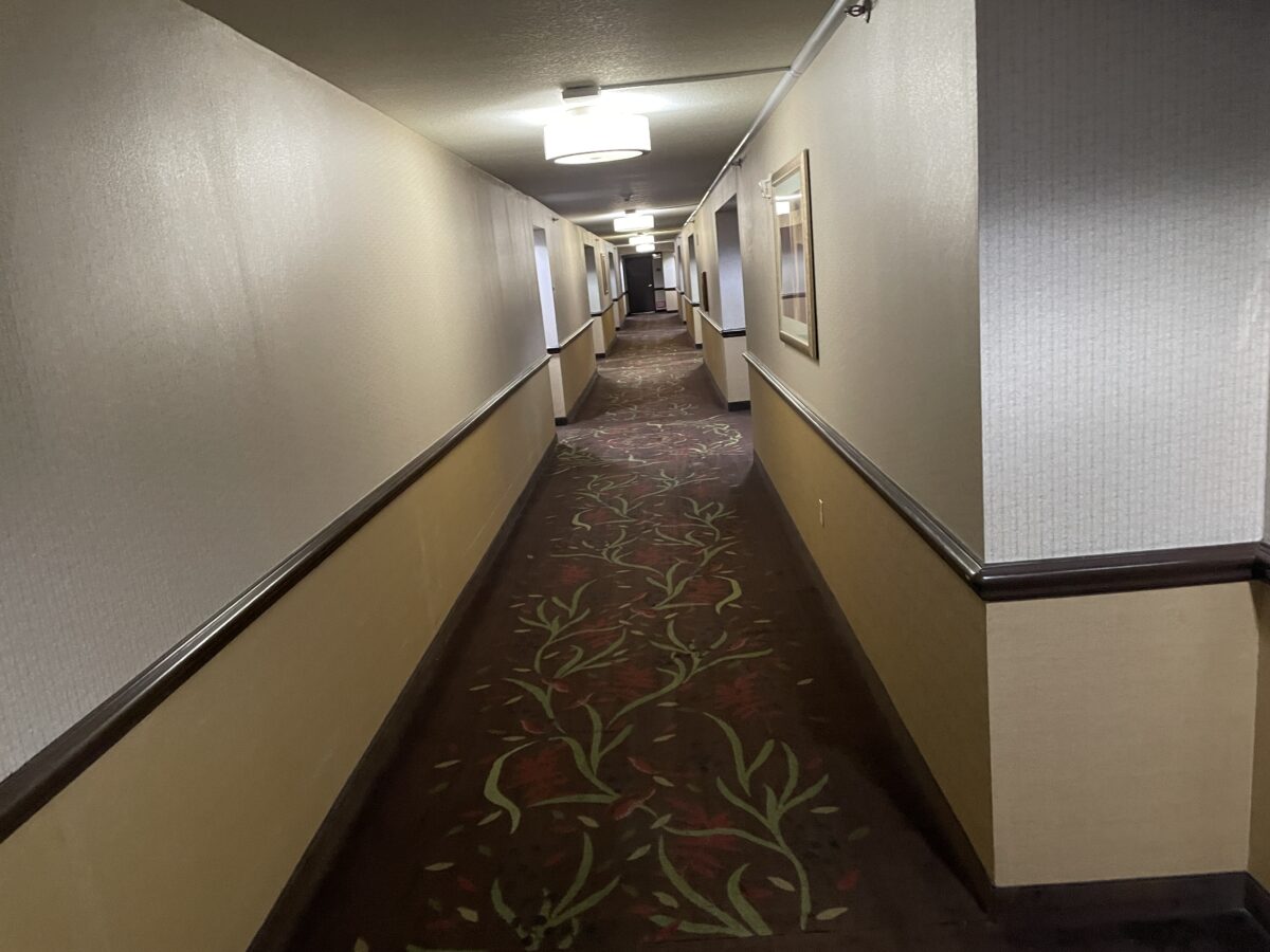 Circus Circus Las Vegas - West Tower King Room Review