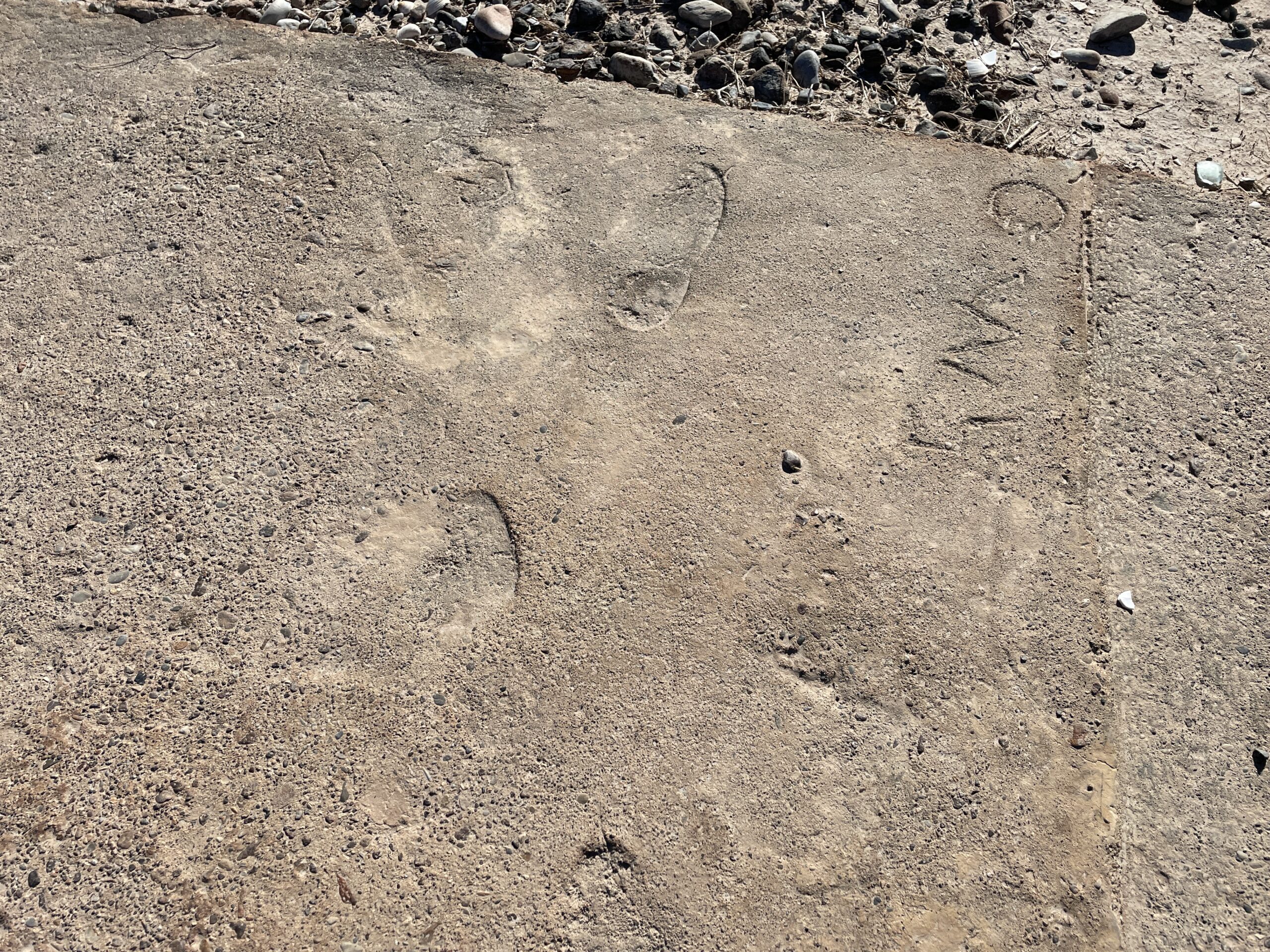 St. Thomas Ghost Town From Las Vegas - What To Expect!