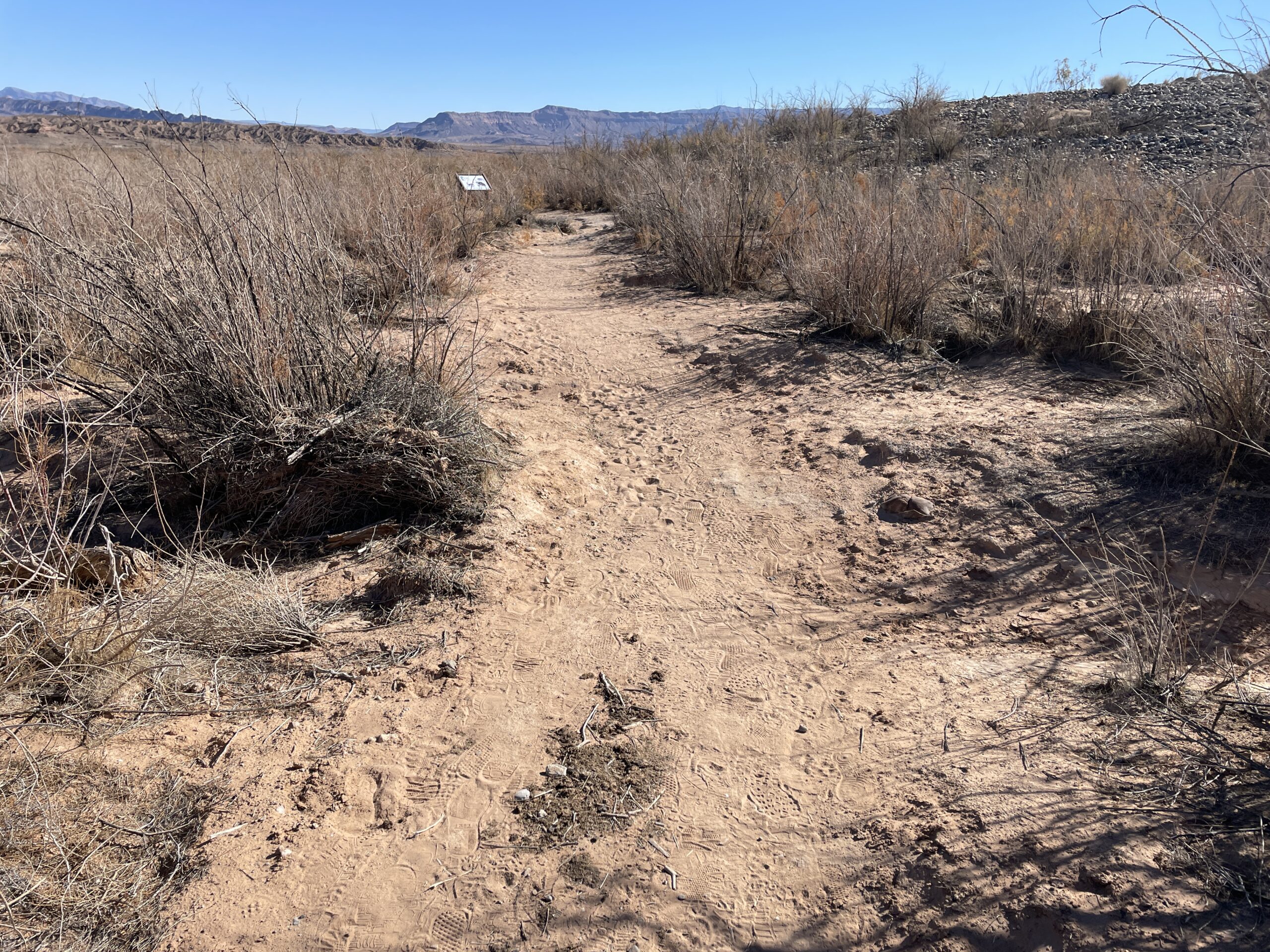 St. Thomas Ghost Town From Las Vegas - What To Expect!