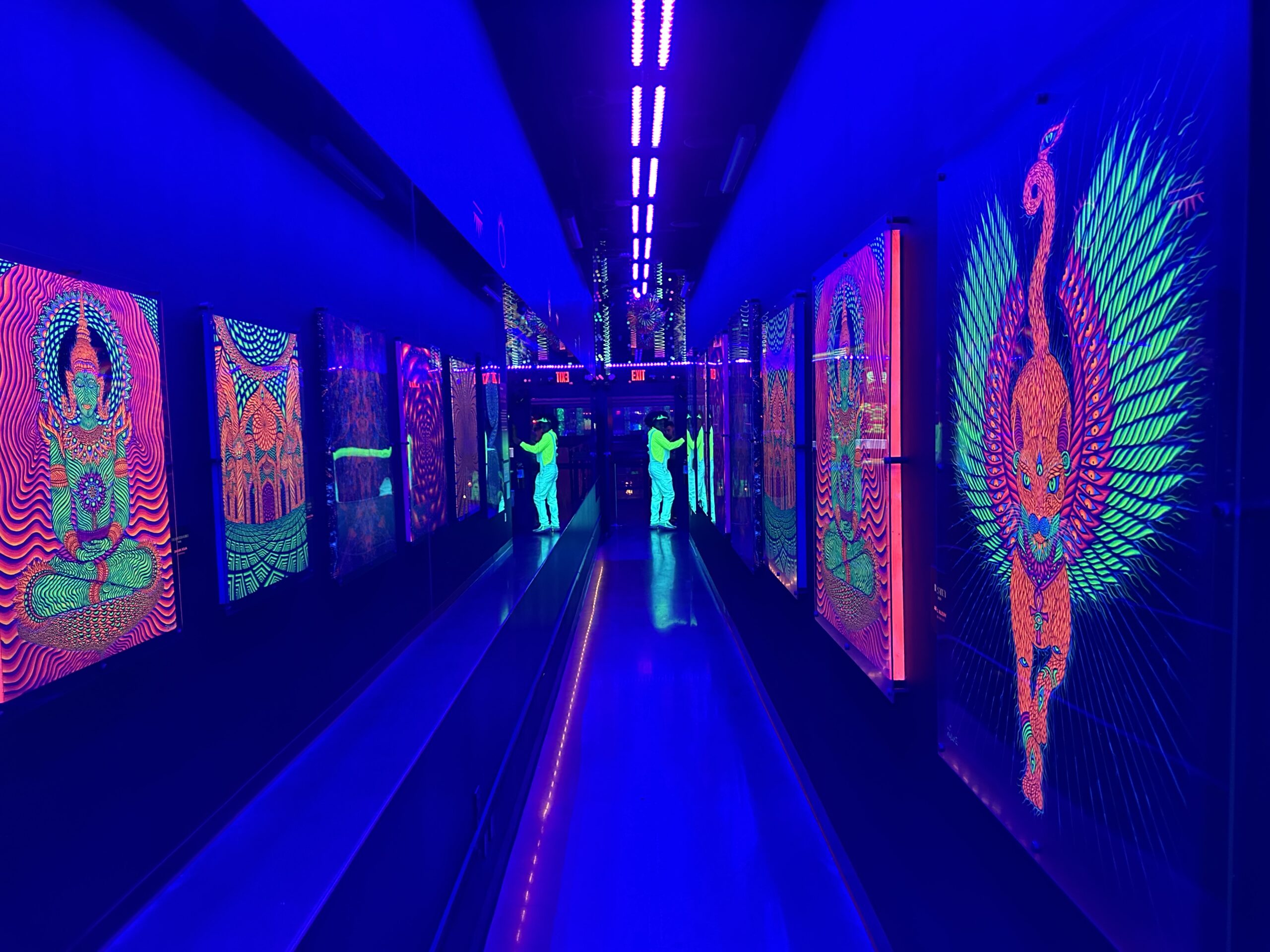 Review of Wink World at Area15 - Worth Doing?