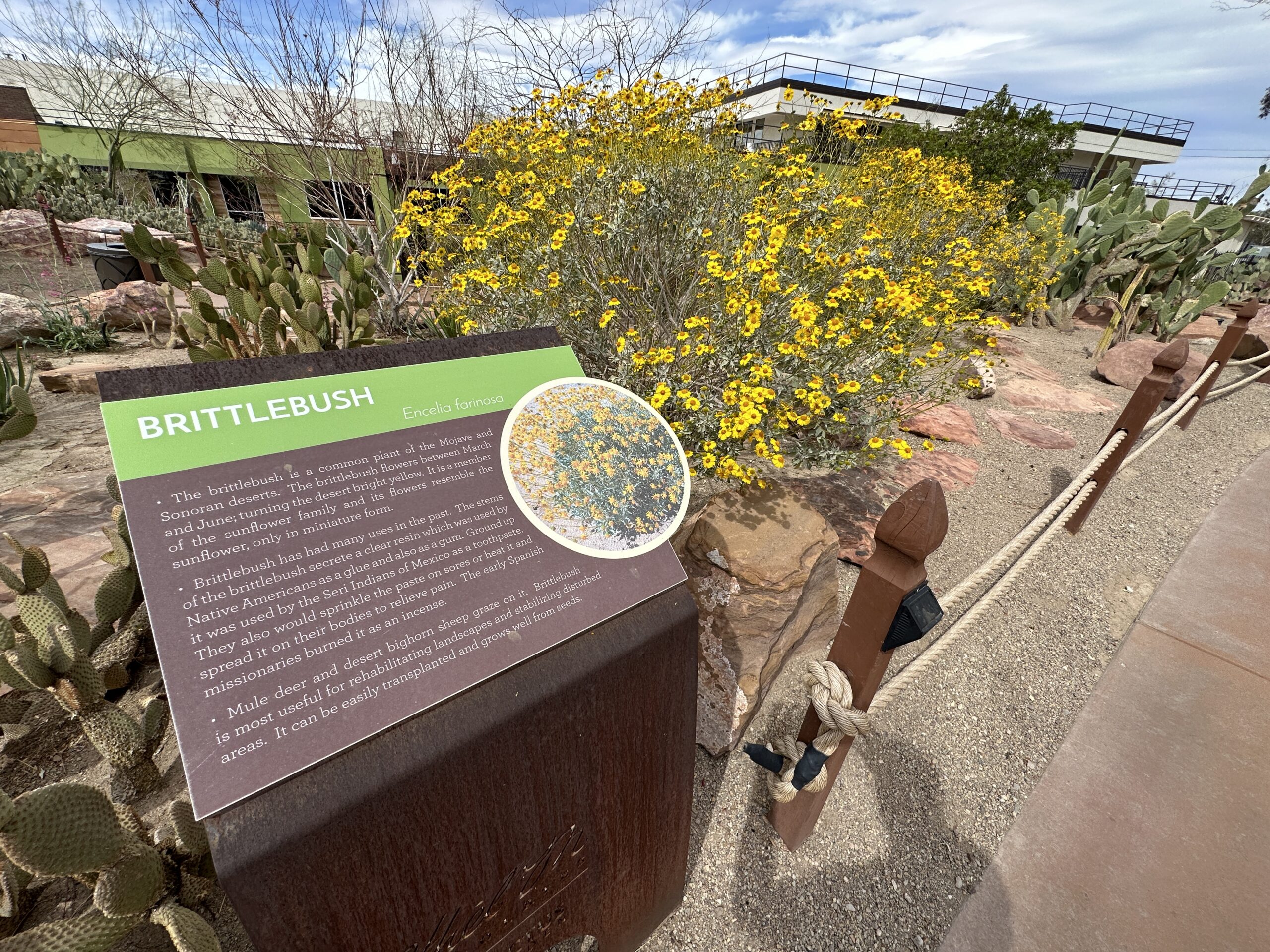 Look Inside Ethel M's Chocolate Factory & Cactus Garden!