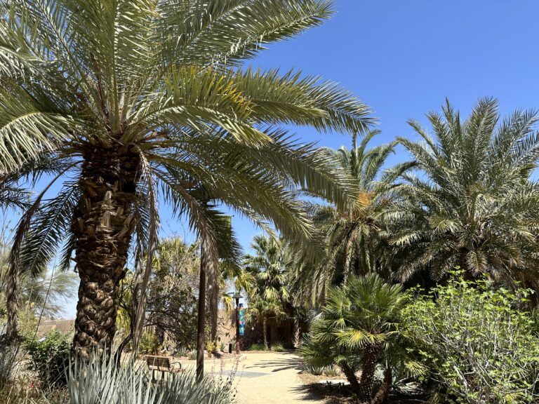 Springs Preserve Las Vegas Review - Look Inside!
