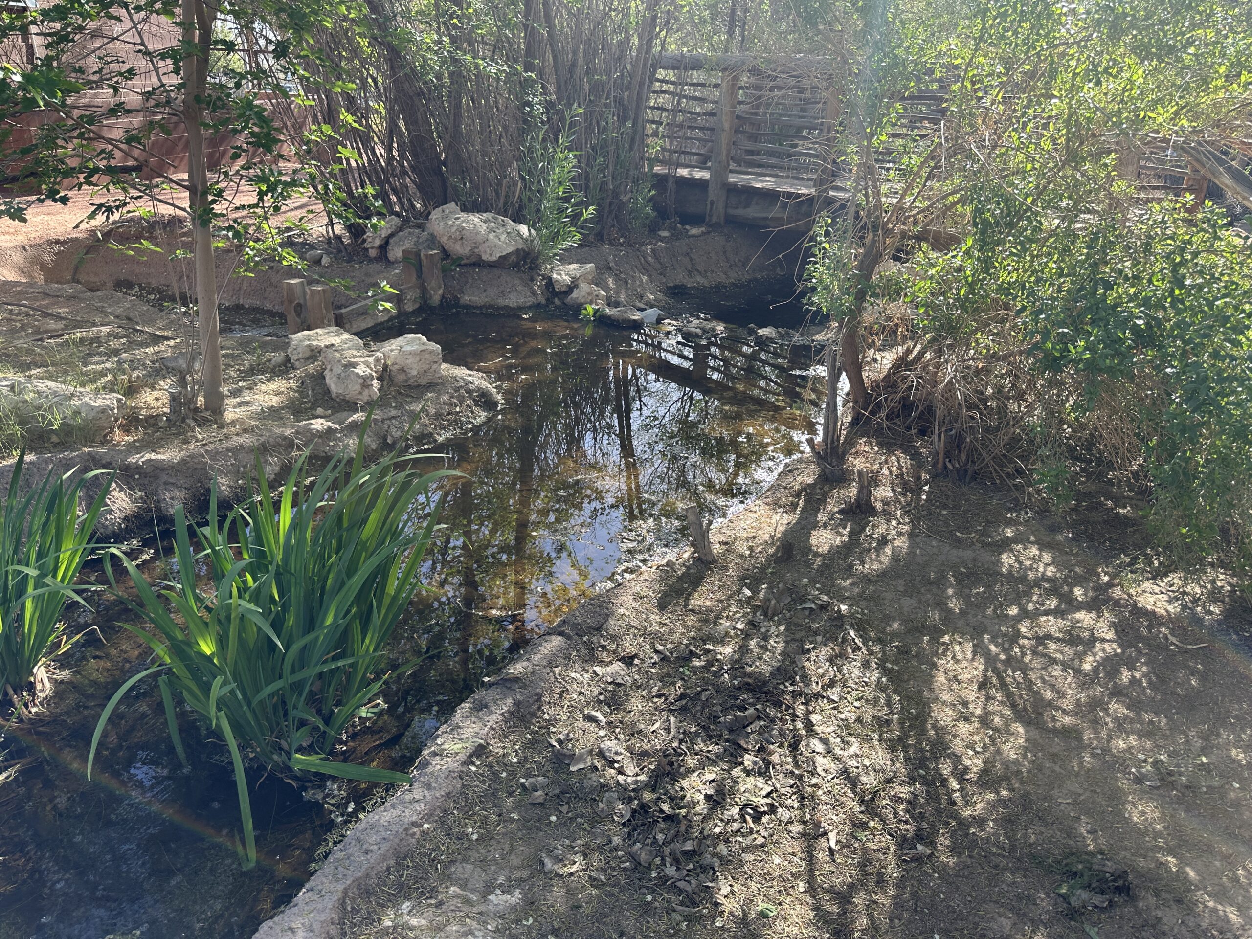 Look Inside The Old Mormon Fort in Las Vegas - Just $3!