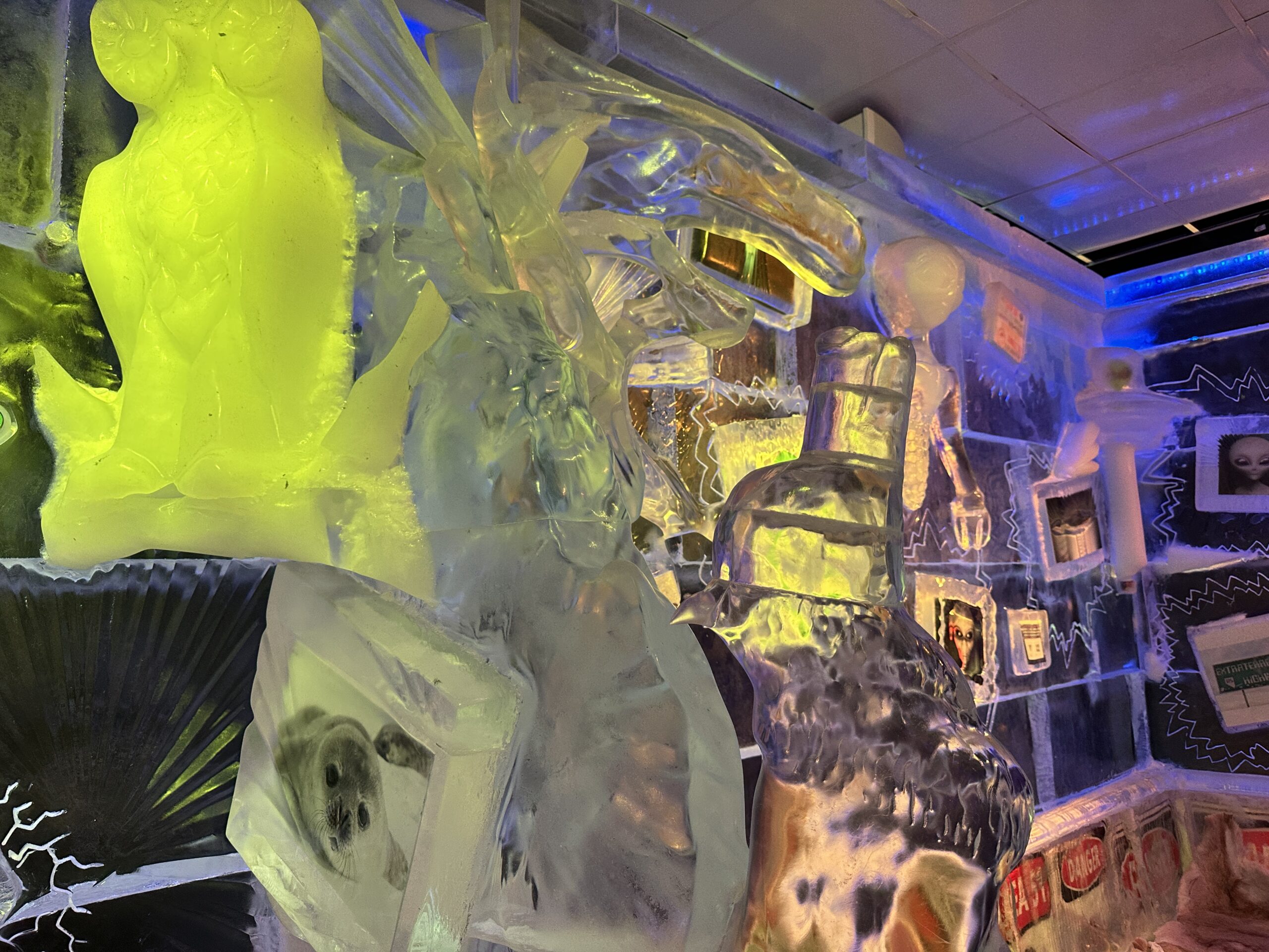 Review of the Minus5 Icebar at LINQ - Is It Worth Doing?