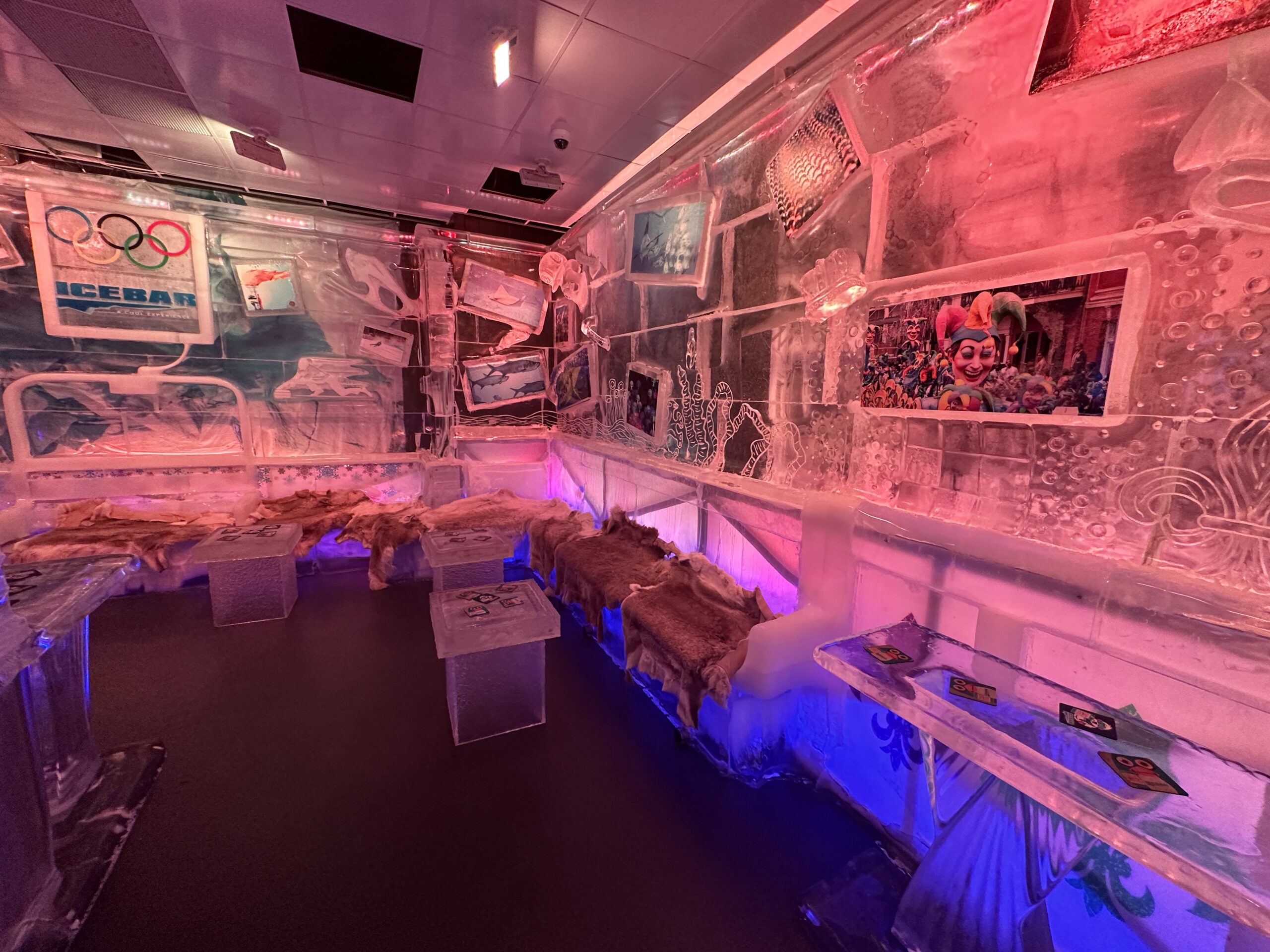 Review of the Minus5 Icebar at LINQ - Is It Worth Doing?