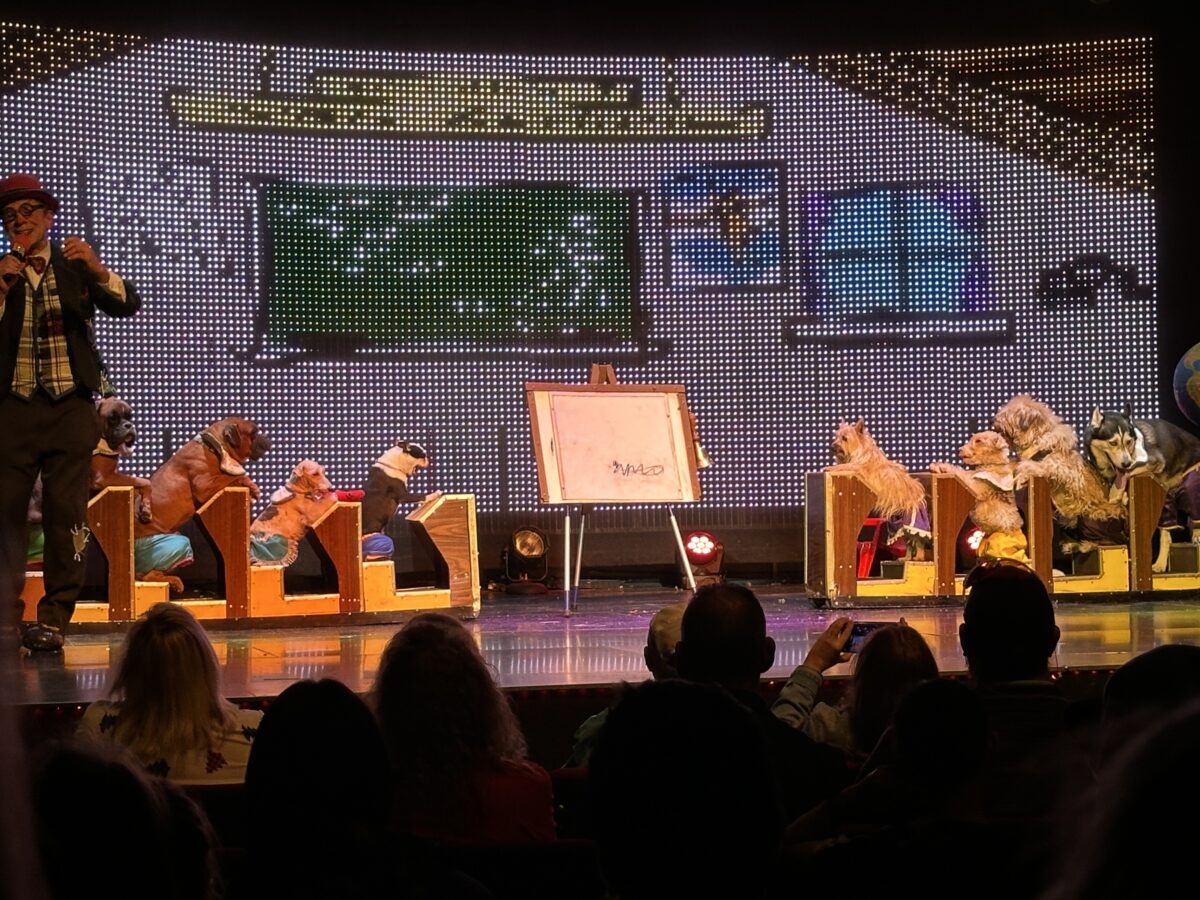 Review of "Popovich's Comedy Pet Theater" in Las Vegas