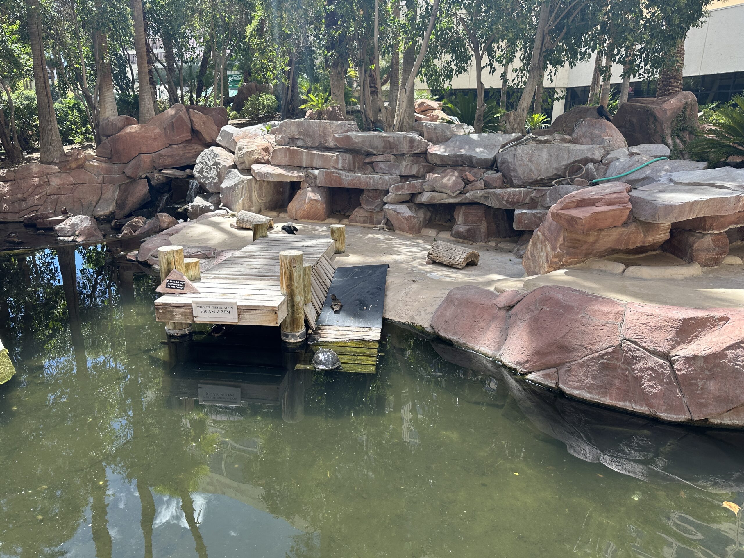 Flamingo Las Vegas Wildlife Habitat - The Good & The Stinky